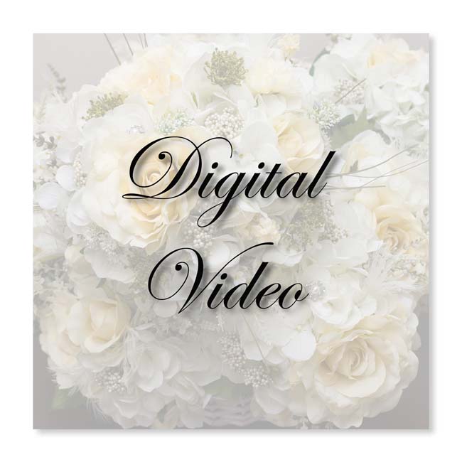 Digital Video - Reflections Creative Photograhy LLC